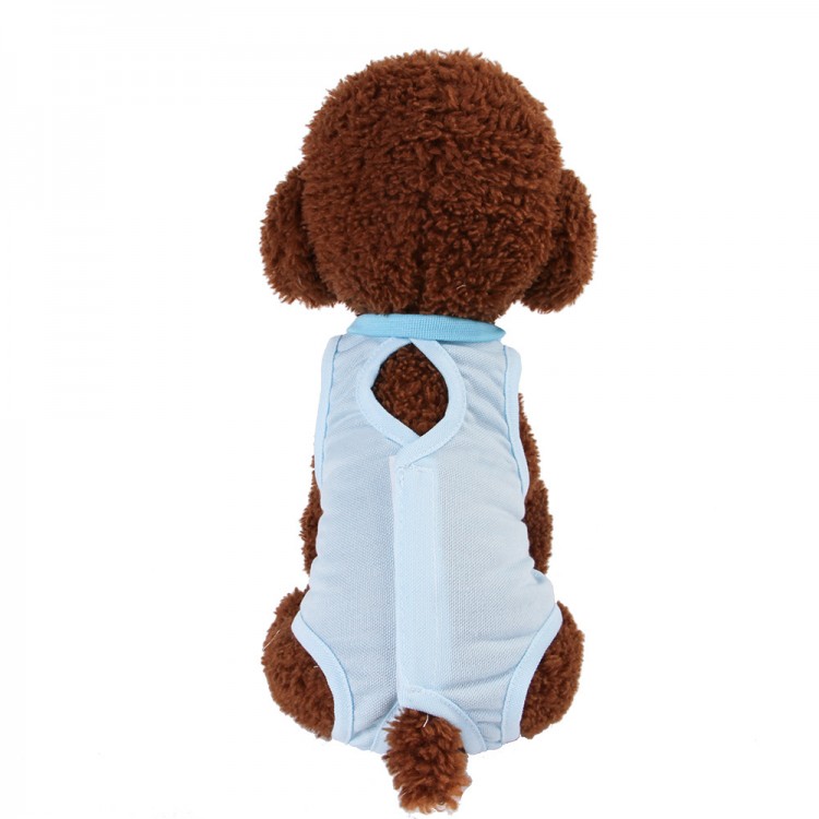 Custom Pet Recovery Suit and Sterilization Care Scratch Suit