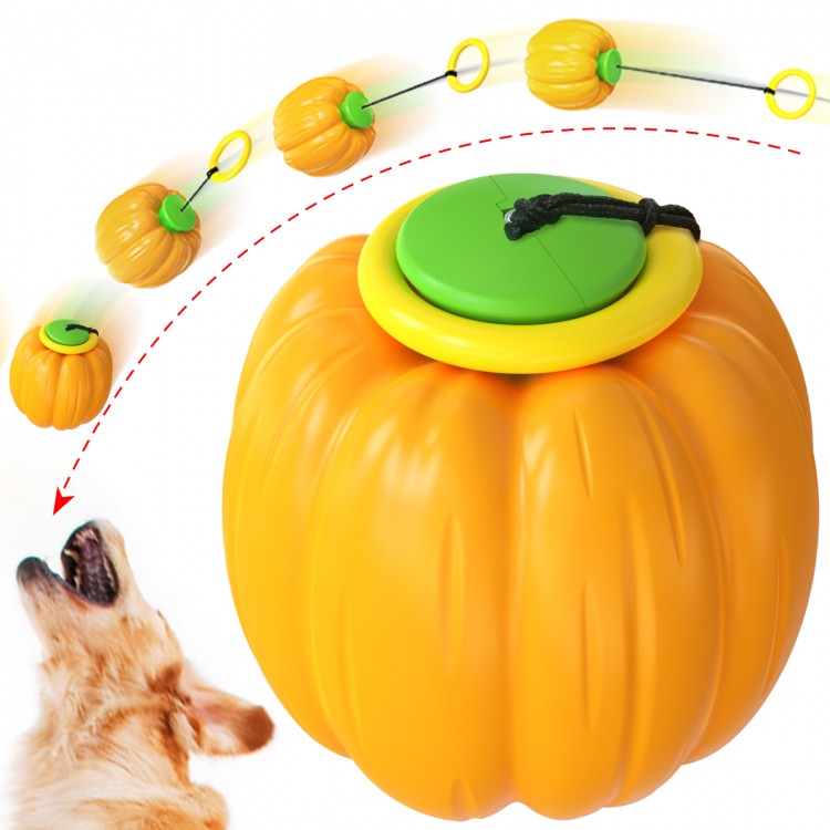 Custom Dog Chew Ball and Retractable Rope Pet Play Toy