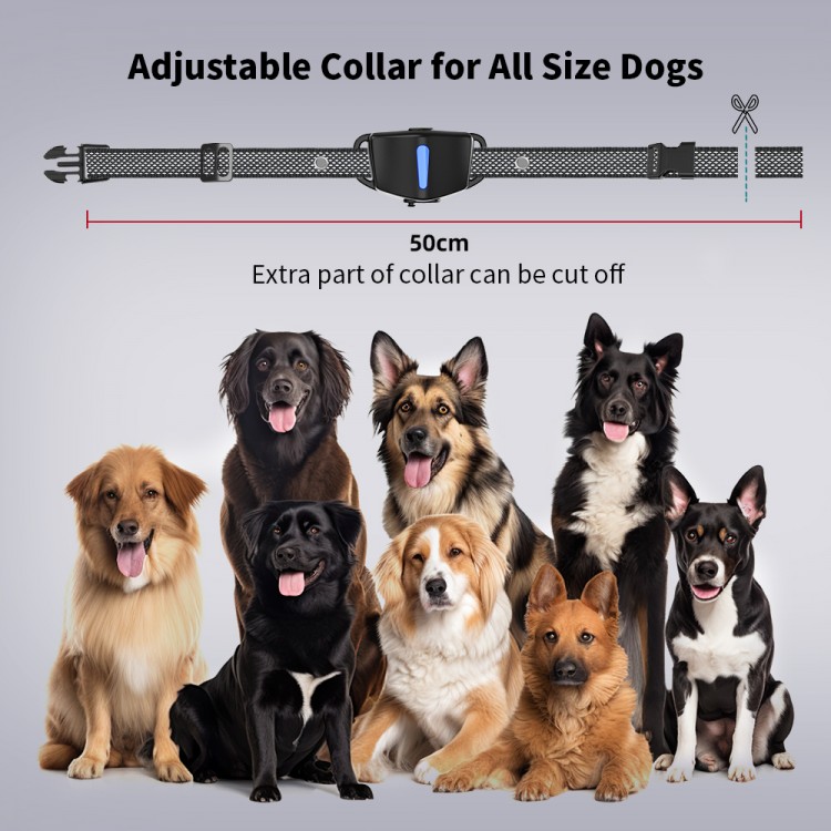 Electric Dog Training Collar New Design LED Display Device